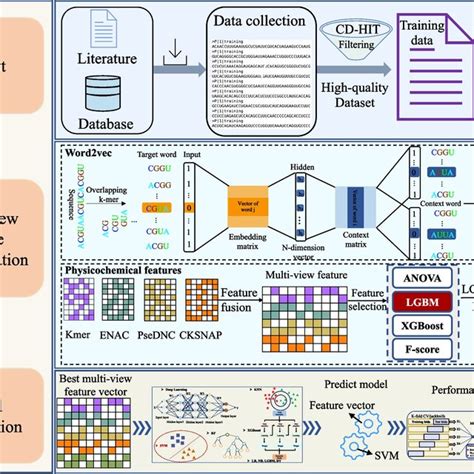 Overall Architecture Of The Prediction Model Download Scientific Diagram
