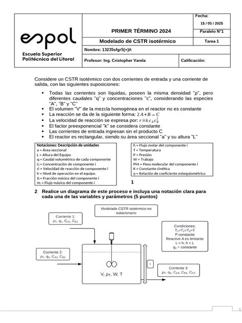Reactor Cstr Isotermico Pdf