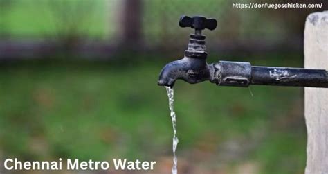 Chennai Metro Water The Lifeline Of Chennai Donfuegos Chicken