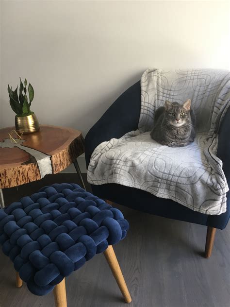 How To Stop My Cat From Scratching