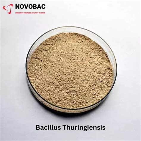 Bacillus Thuringiensis Powder Biological Pesticide