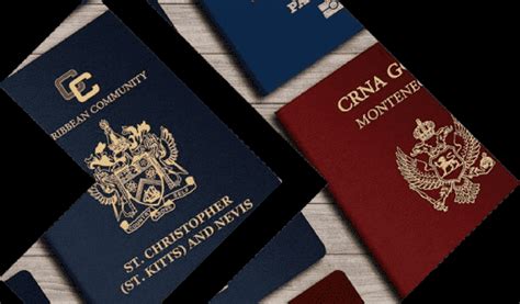 Уведомление о втором гражданстве через МФЦ Госуслуги в 2025 году бланк скачать образец