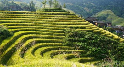 Planina Longji Spektakularna Rižina Polja U Kini Svjetskiputnikhr