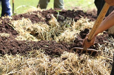 Compostaje Tipos De Compost Que Existen Y Sus Diferencias