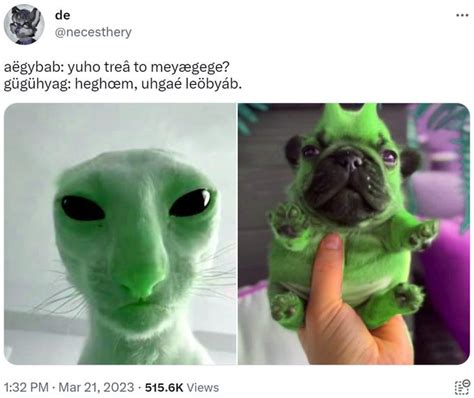 Alienposting Zeep Glorp Know Your Meme