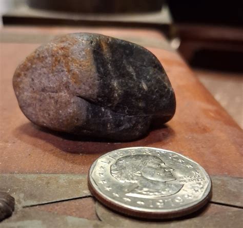 Is This A Fossilized Bone Fossil ID The Fossil Forum