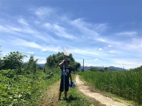 S Hukeiimg3362blog20220702 たまごのソムリエ 小林ゴールドエッグ