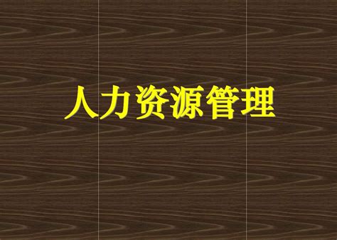 人力资源管理系统教程人大—精深版word文档在线阅读与下载无忧文档