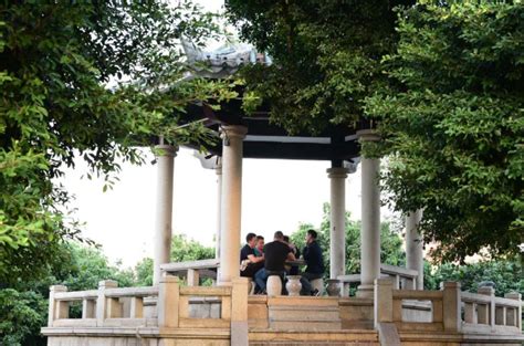 厦门海堤纪念公园纪念建设者移山填海的海堤精神 搜狐大视野 搜狐新闻