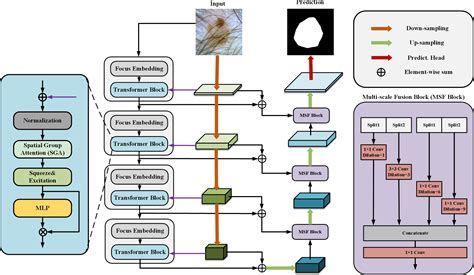 Sutrans Net A Hybrid Transformer Approach To Skin Lesion Segmentation [peerj]