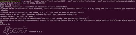 Activate Spark Authentication More Like Simple Authentication By