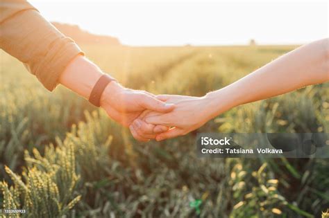 여름 저녁에 들판을 걷는 젊은 부부의 손을 합류시다 우정과 파트너십 상호 이해 행복한 삶의 순간 부드러움과 신뢰 손 잡기에 대한