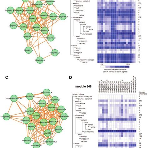 Predicted Co Expression Network Modules Involved In Cellulose Download Scientific Diagram