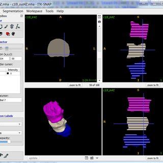 Interpolated Output Overlaid Over A Synthetic Input With Sparsity 4 Download Scientific
