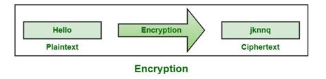 Important Security Features Of LMS Of ColibriWP Blog