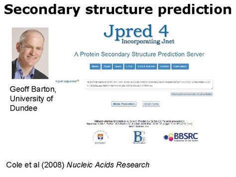 Secondary Structure Prediction Secondary Structure Prediction Amino Acid