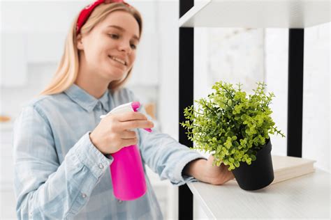 How To Naturally Get Rid Of Ants In Potted Plants