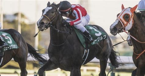 高知ファイナルレース 地方競馬 高知競馬予想20241014｜ひまわり厨フォロバ100％