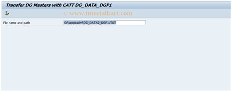 DGE SAP Tcode First Database Via DGP DGE SAP Tcode First Database Via DGP