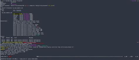 Exposing Ingress To A Remote Host · Issue 9116 · Kubernetesminikube
