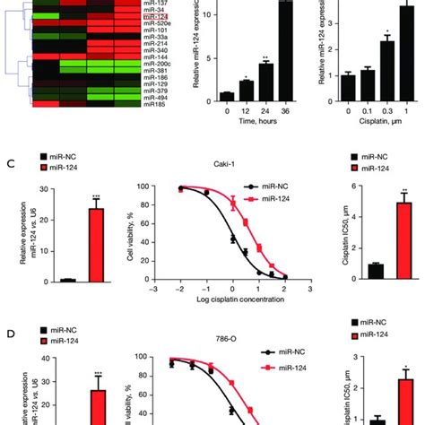 Mir 124 Contributed To Cisplatin Resistance In Renal Cell Carcinoma