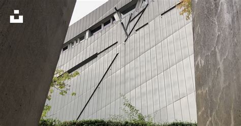 白いコンクリートの壁に緑の植物の写真 Unsplashの無料ドイツ写真