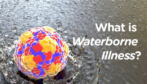 Common Waterborne Diseases And Prevention Watsons Id Blog