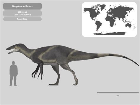 Perfil Maip Macrothorax By Paleohistoric On Deviantart