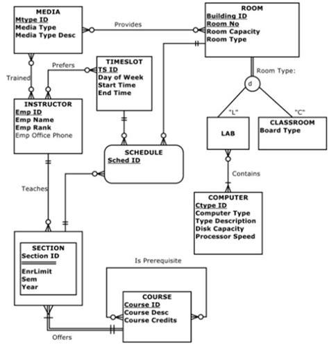 Solved In Erdplus Create Er Diagram And Convert These Diagrams To