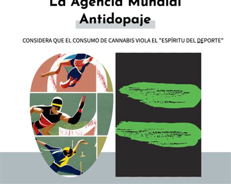 Ufc Formalmente Elimina La Marihuana De La Lista De Sustancias