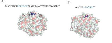 The Structure Of N Hsv A And C Hsv B Peptides In Dpc Micelles