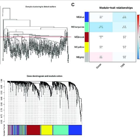 Gene Set Variation Analysis Gsva Differences Between The Different Download Scientific