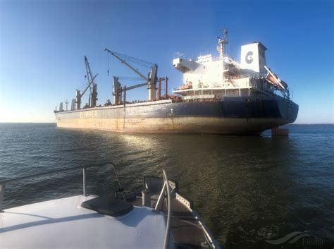 Seamec Gallant Bulk Carrier Details And Current Position Imo