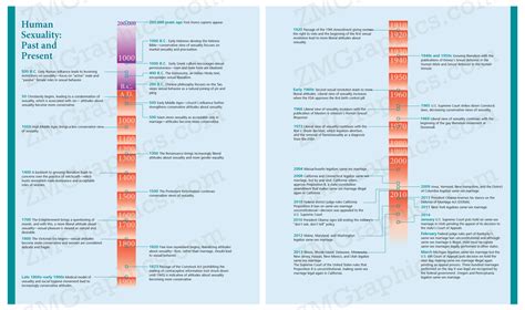 Timelines By Carol Zuber Mallison•zm Graphics