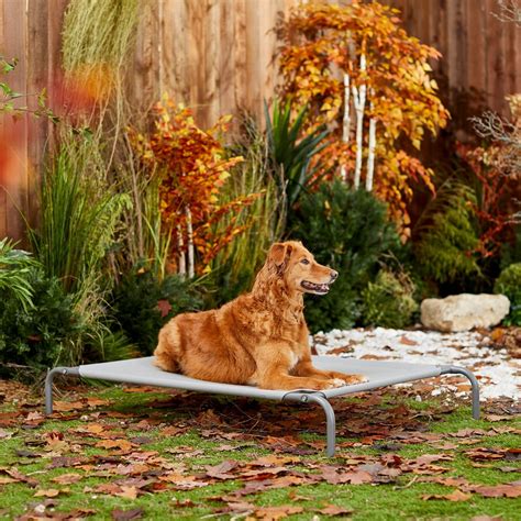 Frisco Steel Framed Elevated Dog Bed Metallic Gray Large