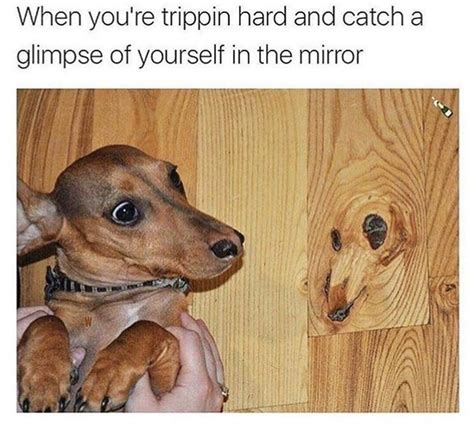 46 Funny Pics Guaranteed To Make You Laugh Funny Gallery Ebaums World