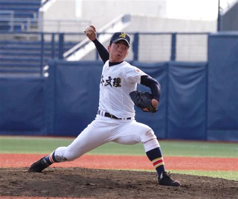 【高校野球】日本文理が優勝 第3代表は東京学館 秋季県大会 新潟野球ドットコム