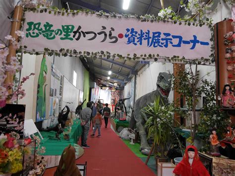四國德島┃星宇航空包機直飛德島全記錄 仙境勝浦町賞櫻 最矮弁天山登頂 Dmv鐵道路兩用車 爆買大野海苔 潔西姊姊・日本台湾日常