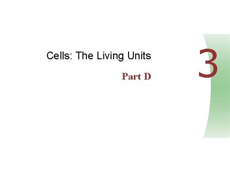 Power Point Lecture Slides Prepared By Vince Austin
