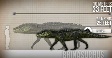Rmso Bigfoot Largest Land Predator Since The Dinosaurs When Amazon Was