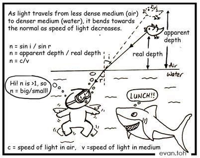 Refraction Of Light Artofit