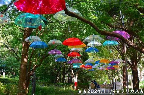 2全国都市緑化かわさきフェア等々力緑地 海神奈川鉄道写真ブログ 吹奏楽部