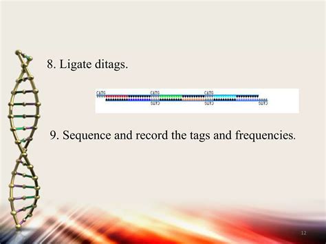 Sage Serial Analysis Of Gene Expression Pptx