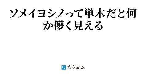 桜の木の下で（とらまる） カクヨム
