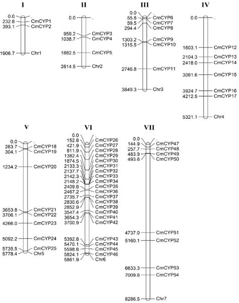 The Chromosomal Locations Of Cyp450 Gene In The Cmilitaris Genome