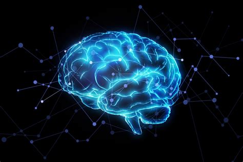 Error Neurons Play Role In How Brain Processes Mistakes