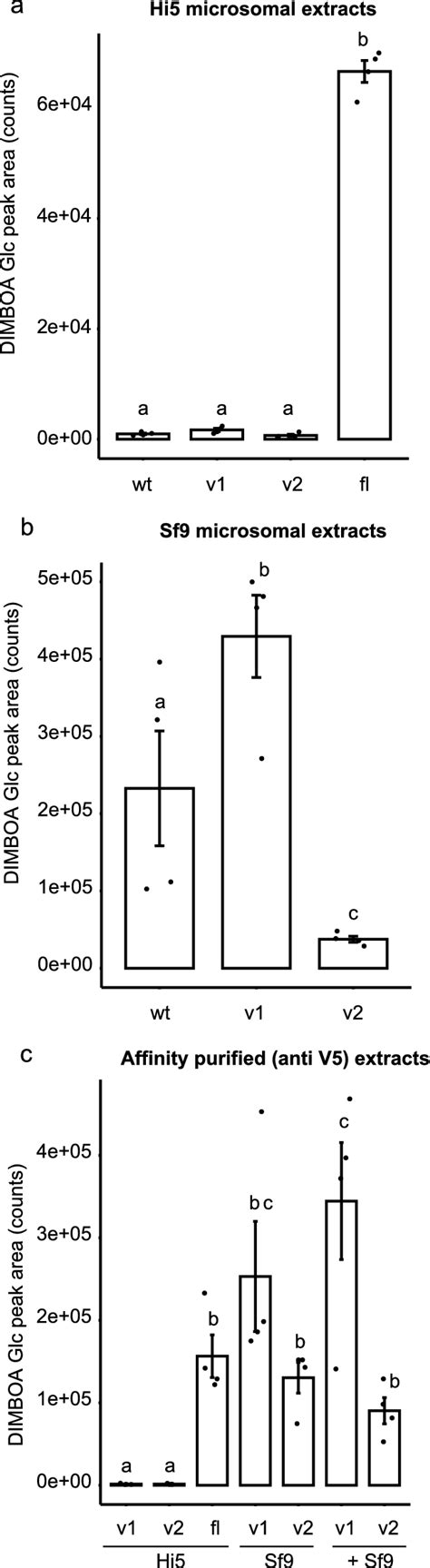 Truncated SfUGT33F28 Variant Proteins Are Catalytically Inactive But