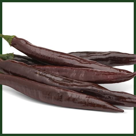 Semillas Sakata Para Cultivo De Variedades De Chile Pasilla