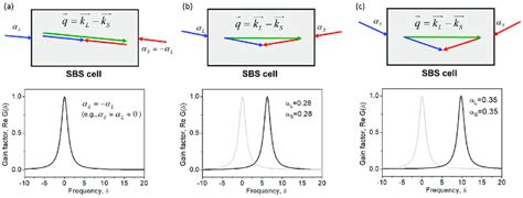 Brillouin Gain Spectra Describing Interaction Between Plane Waves In A