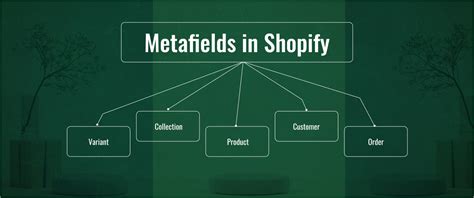 7 Strategies To Drive Traffic To Your Shopify Store Prp Webs